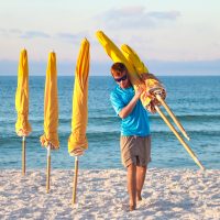 Employment | Hilton Sandestin Beach